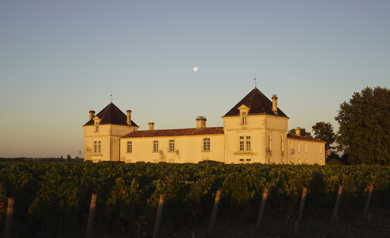 6 facts you (probably) did not know about the Saint-Estèphe appellation ...